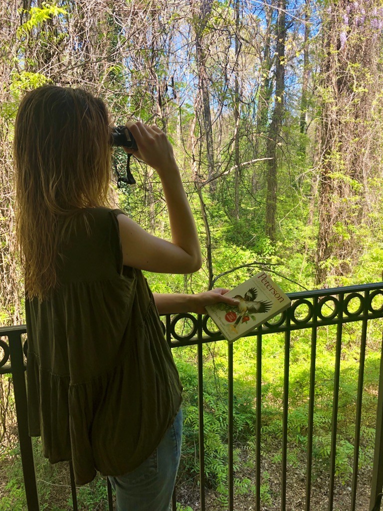 Get started with birding