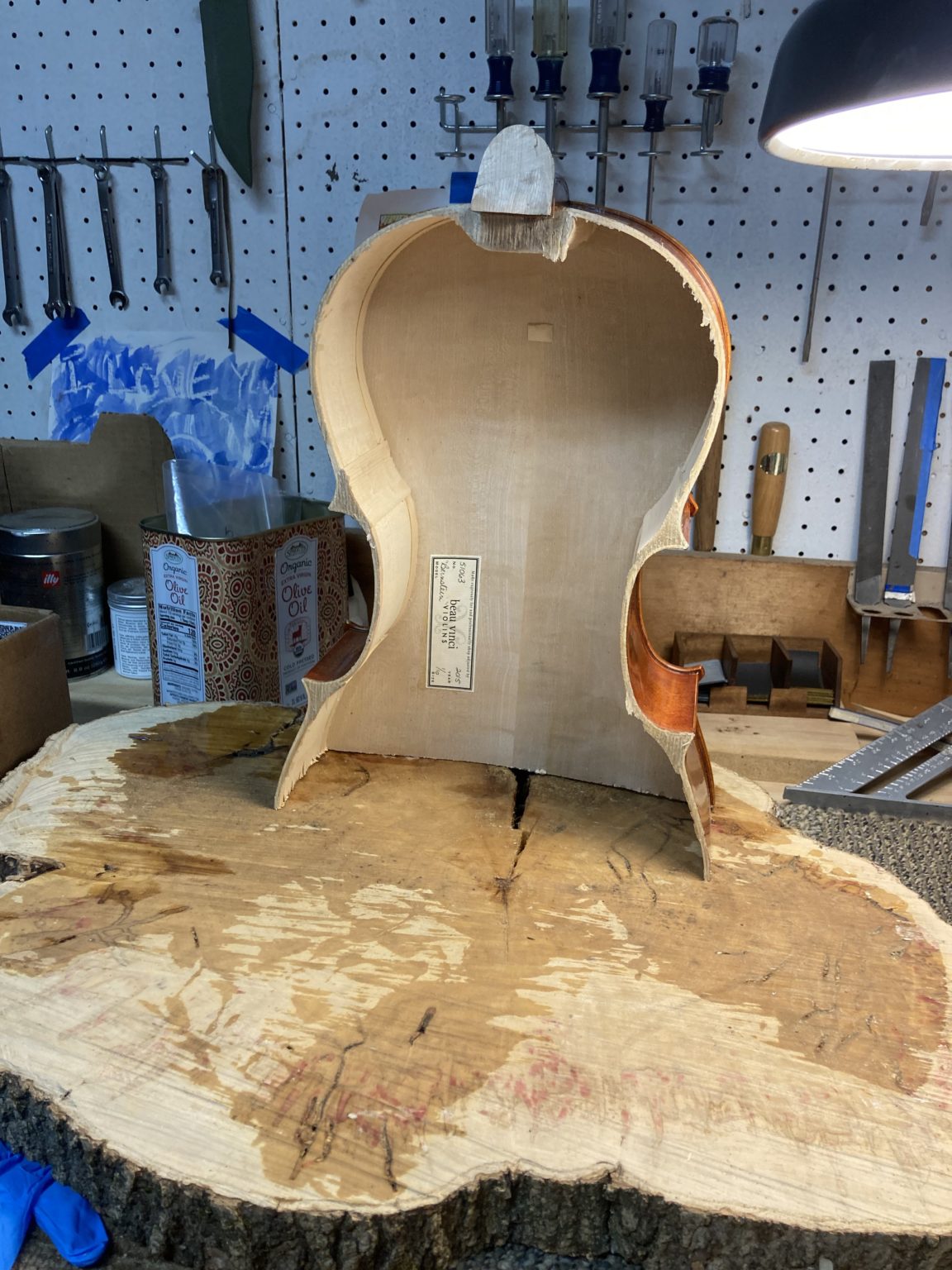 Fairies move into a cello house along the Enchanted Woodland Trail