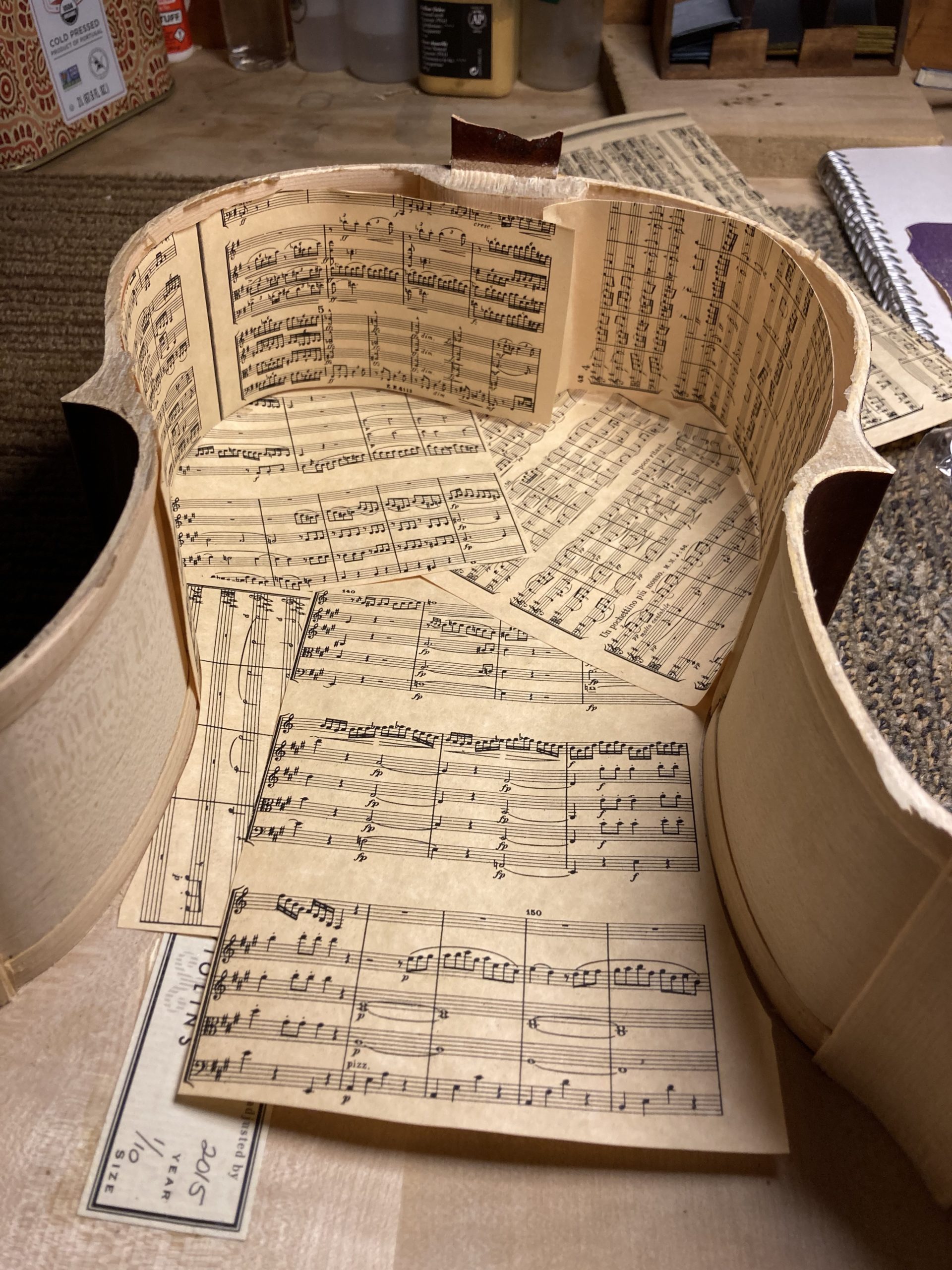 Fairies move into a cello house along the Enchanted Woodland Trail