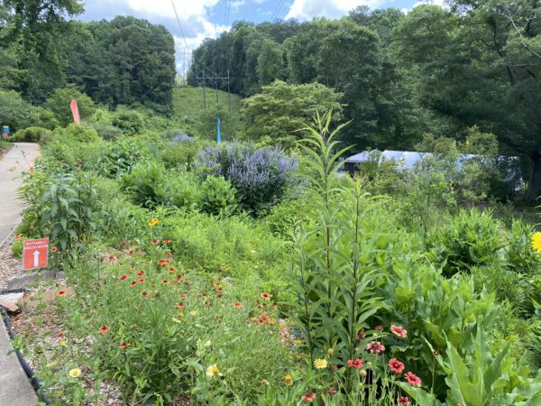Horticulture - Native Plant Gardens | Chattahoochee Nature Center