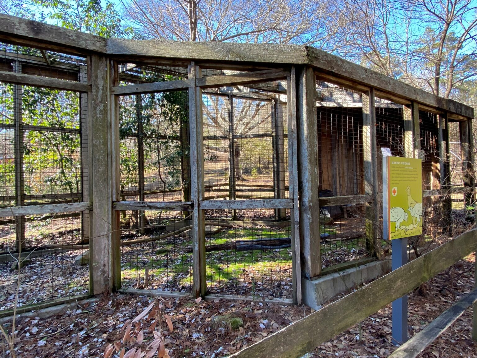 There's No Place Like Home: Vulture Aviary Complete